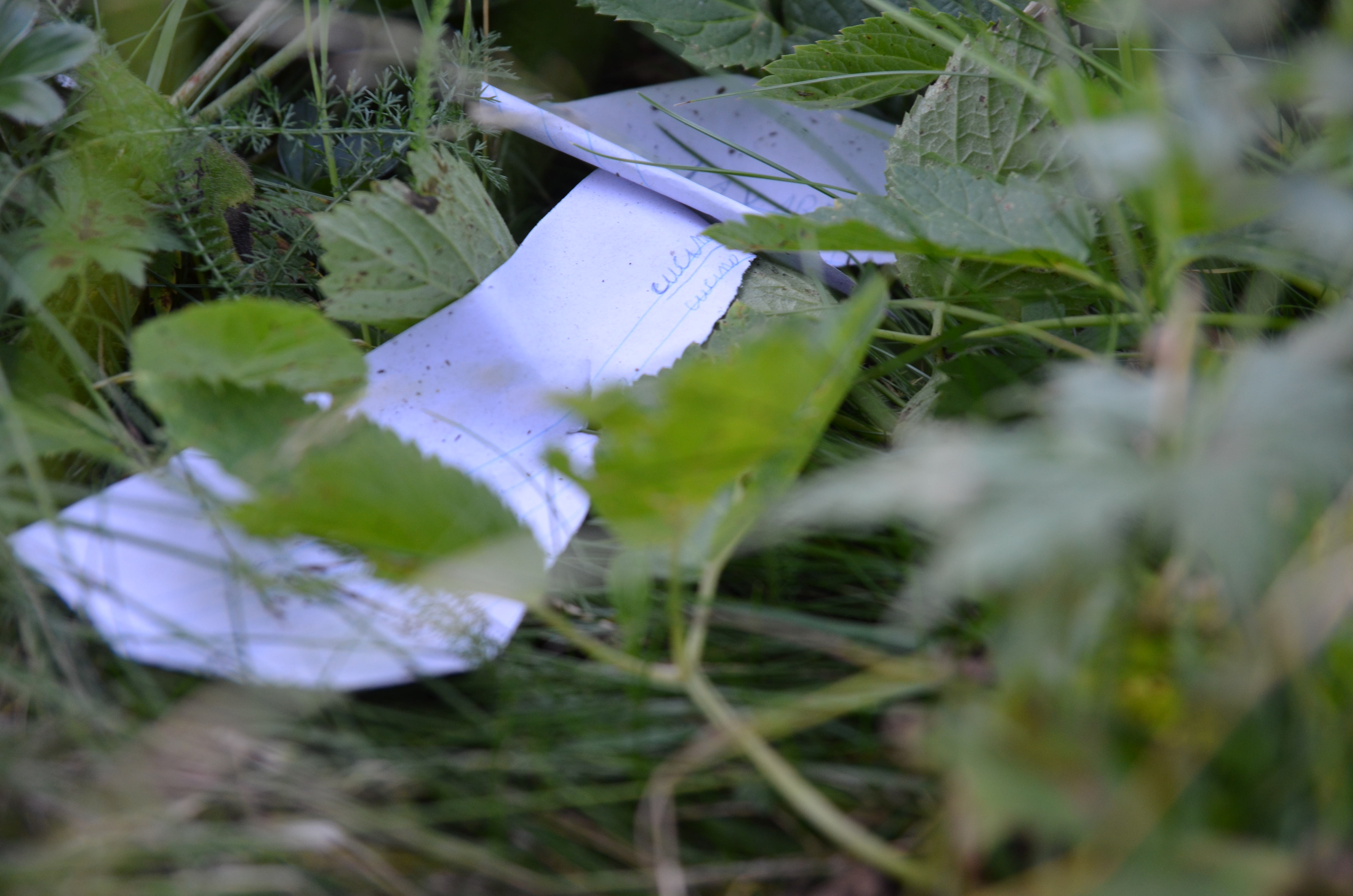 Photo series – Alpine border conflicts