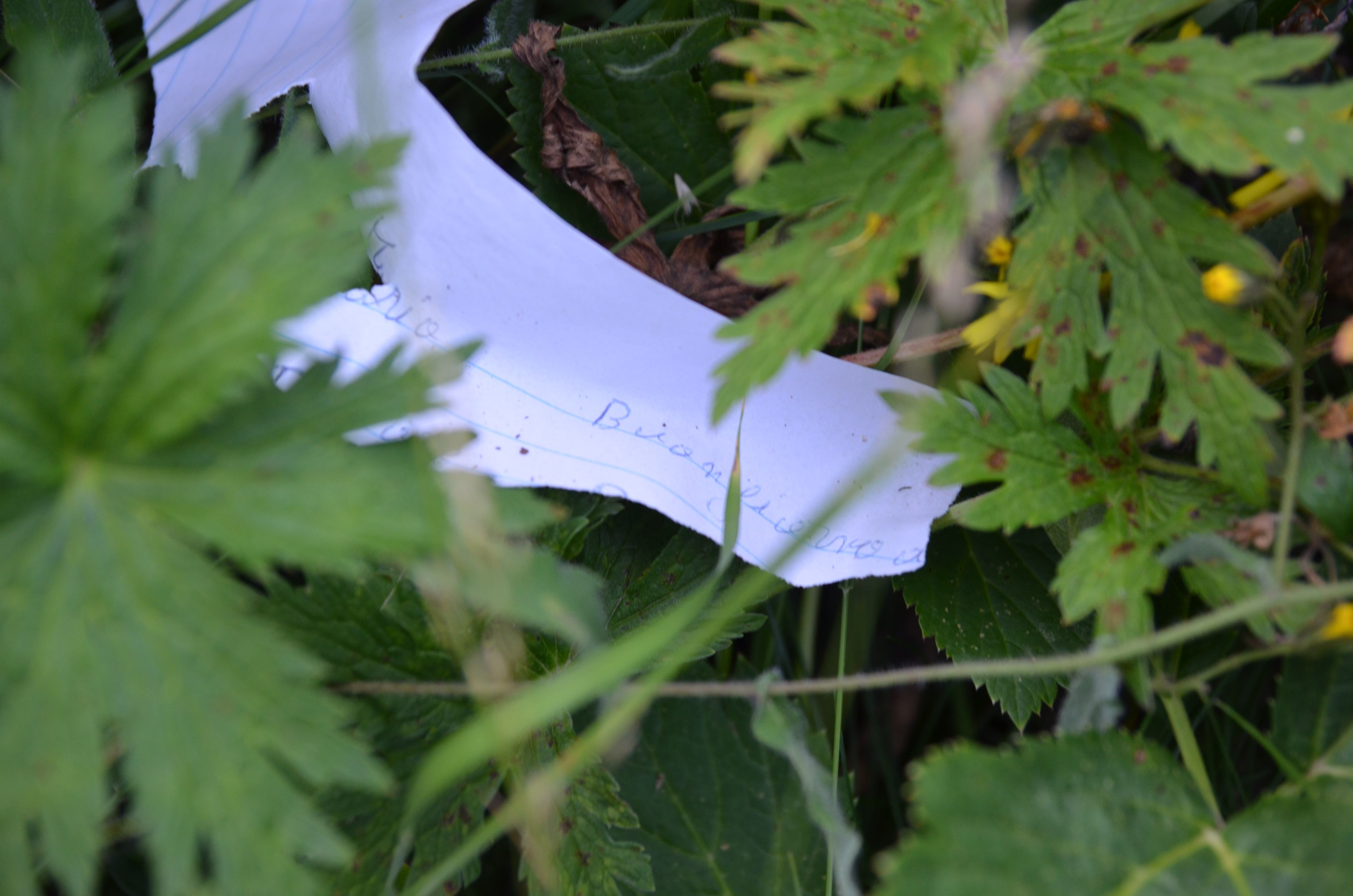 Photo series – Alpine border conflicts